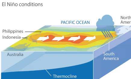 The Intricate Interplay: Unveiling the Multifaceted Relationship ...